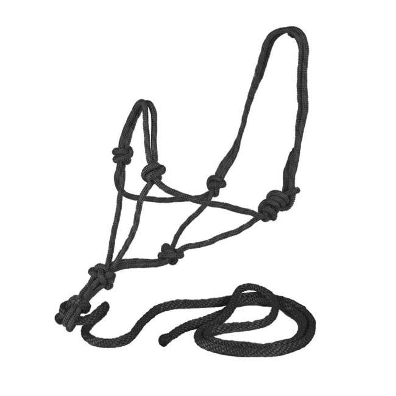 Rope Halter with Rope Lead, Burgundy - Walmart.com