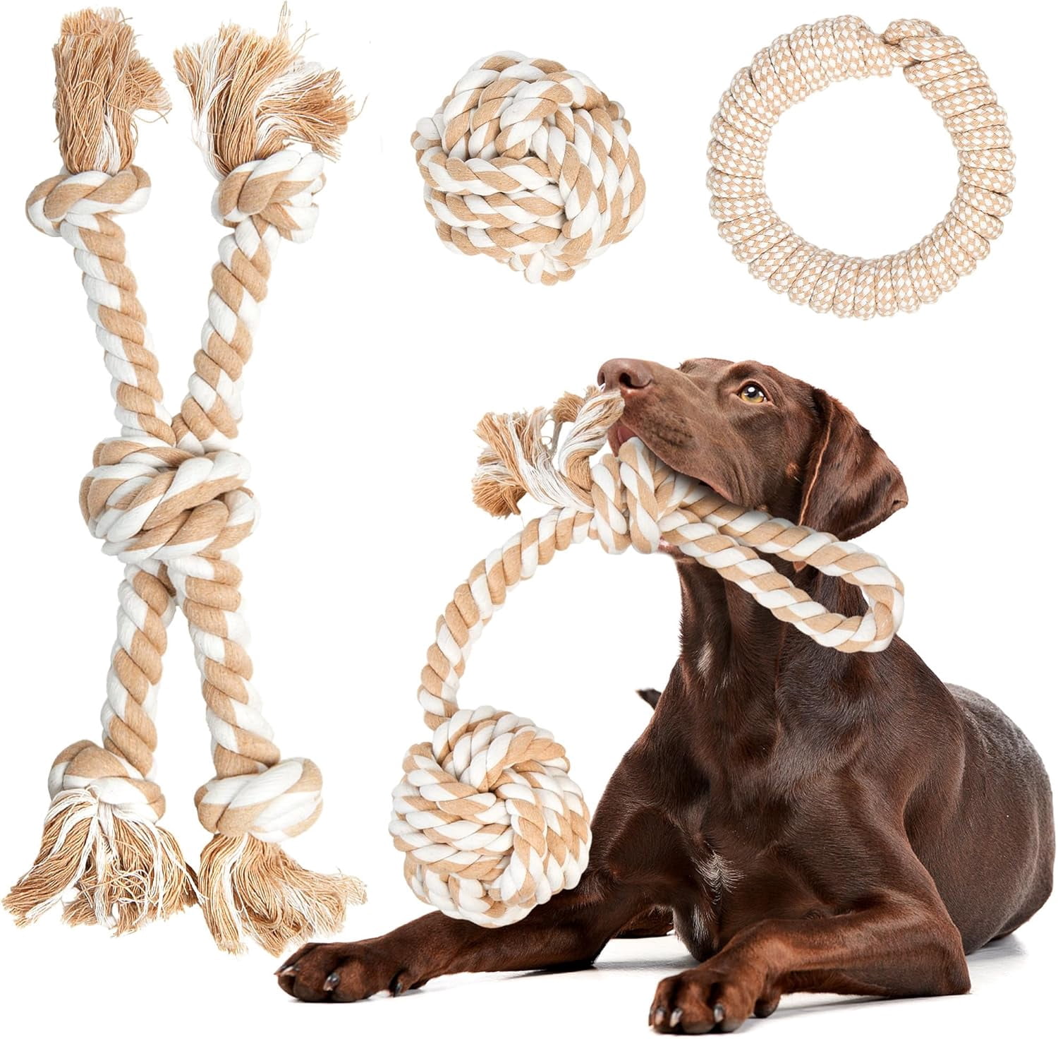 Rope for Aggressive Chewers 4 count - for Large Dogs, Tug-of-War ...