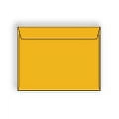 Roptex® Brown Kraft Booklet Envelope, 10" x 15", (SFI Certified), 28 lb ...