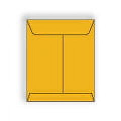 Roptex® Brown Kraft Catalog Envelope, 10" x 15", (SFI Certified), 28 lb ...