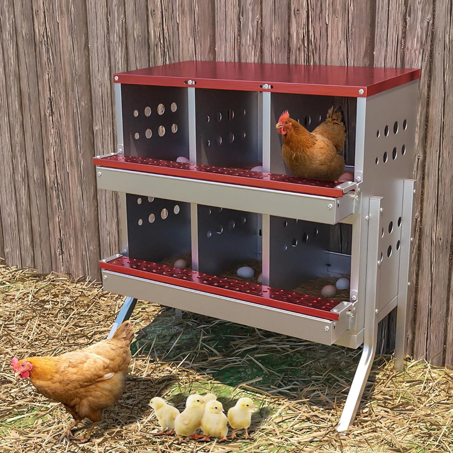 Roromall Metal Chicken Nesting Box for Laying Eggs, Rustproof Wall ...