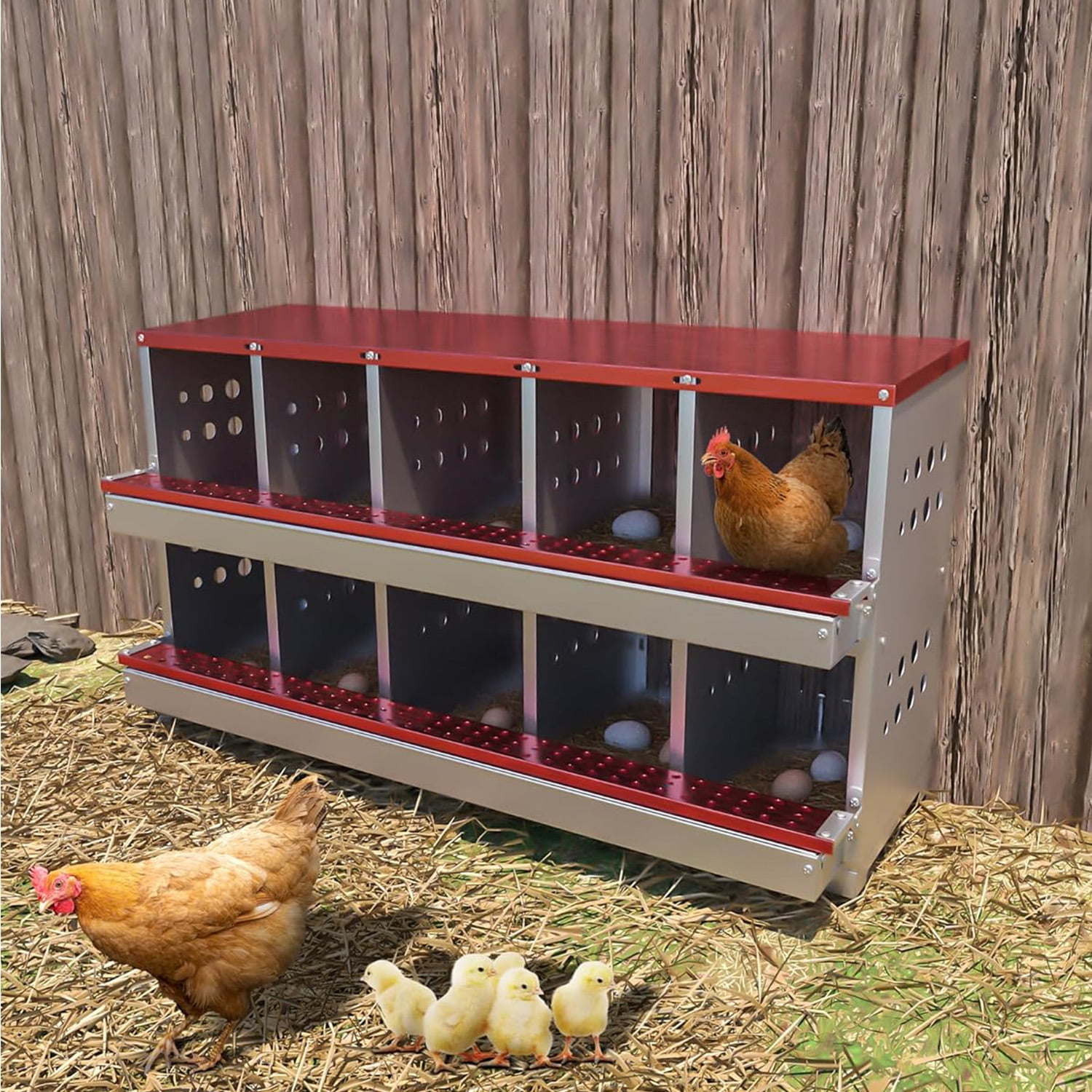 Roromall Metal Chicken Nesting Box, Rustproof Roll Away Chicken Laying ...