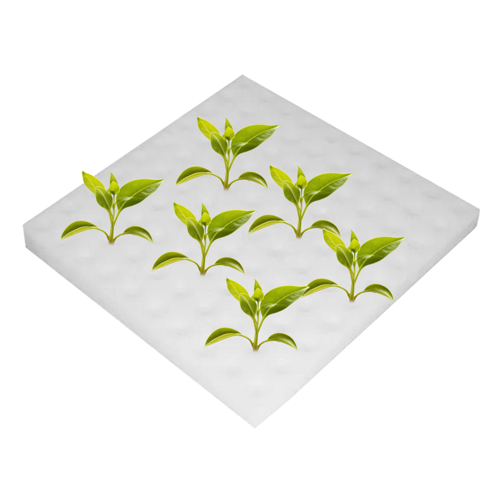 Rosafegon Grow Sponges Garden Cube Grow Sponges Reusable Seedling ...