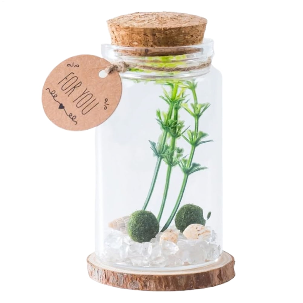 Rosafegon Mini Cork Bottles Wishing Bottle Storage Decoration Miniature ...