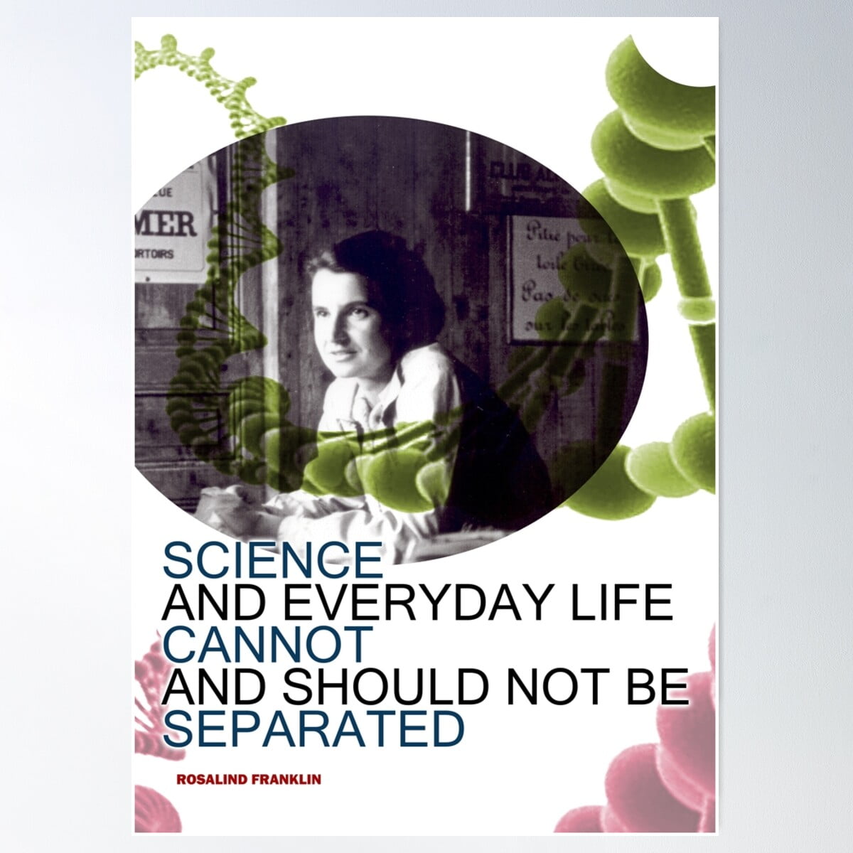 Rosalind Franklin Inspirational Quote 4 - Science Nerd Gift Poster Wall ...
