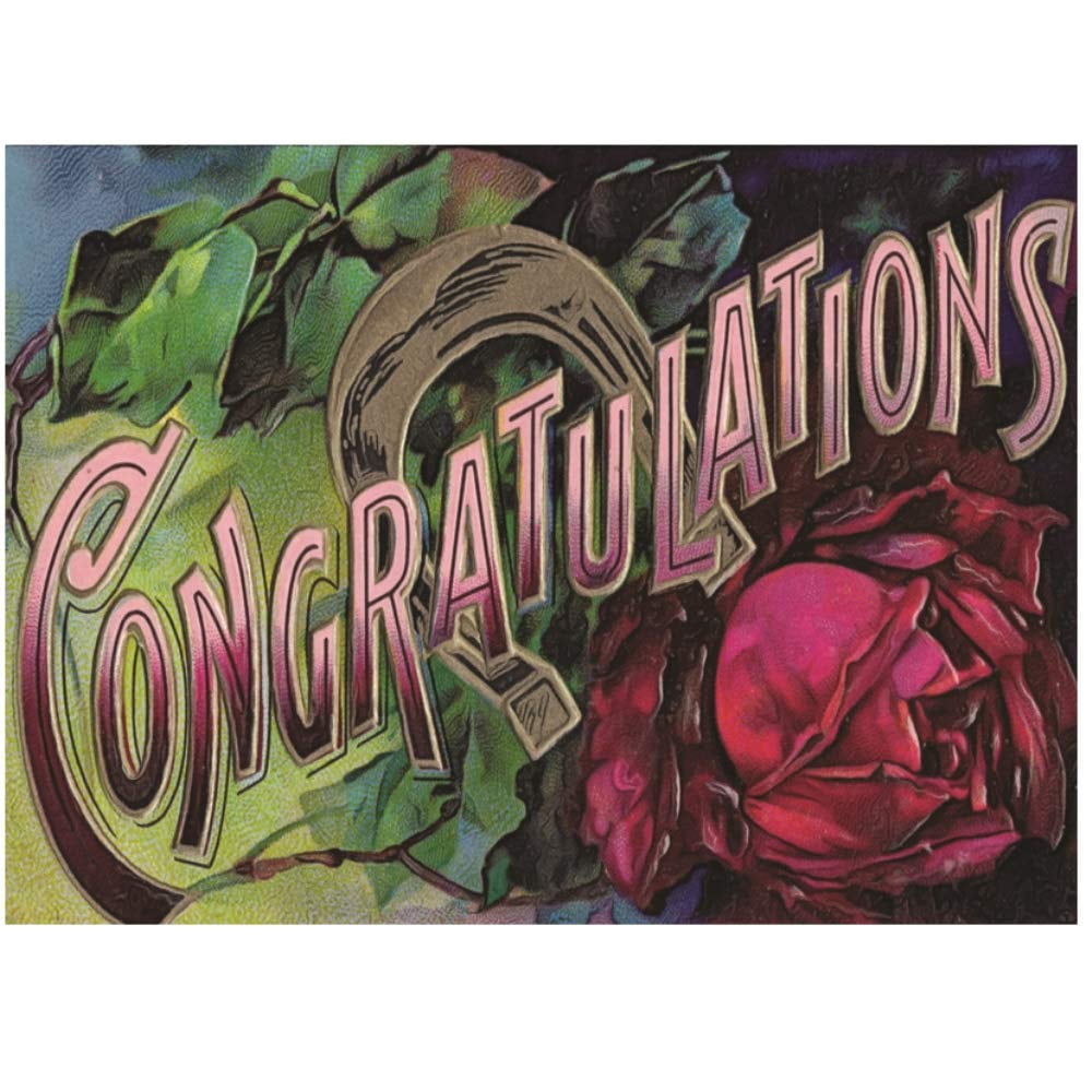 Rose Bush Congratulations Greeting Cards | 1 Pack Single (5x7 ...