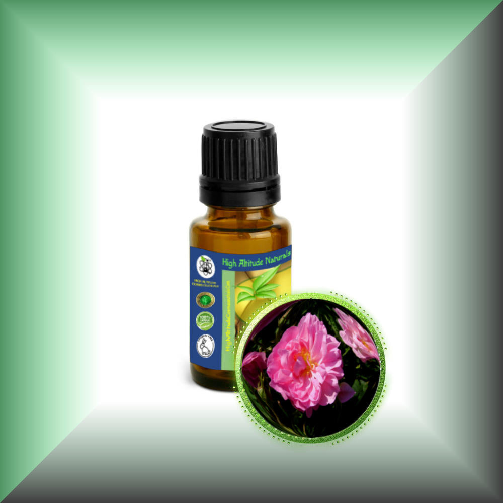 Rose De Mai Absolute Oil (Rosa Centifolia) - Walmart.com