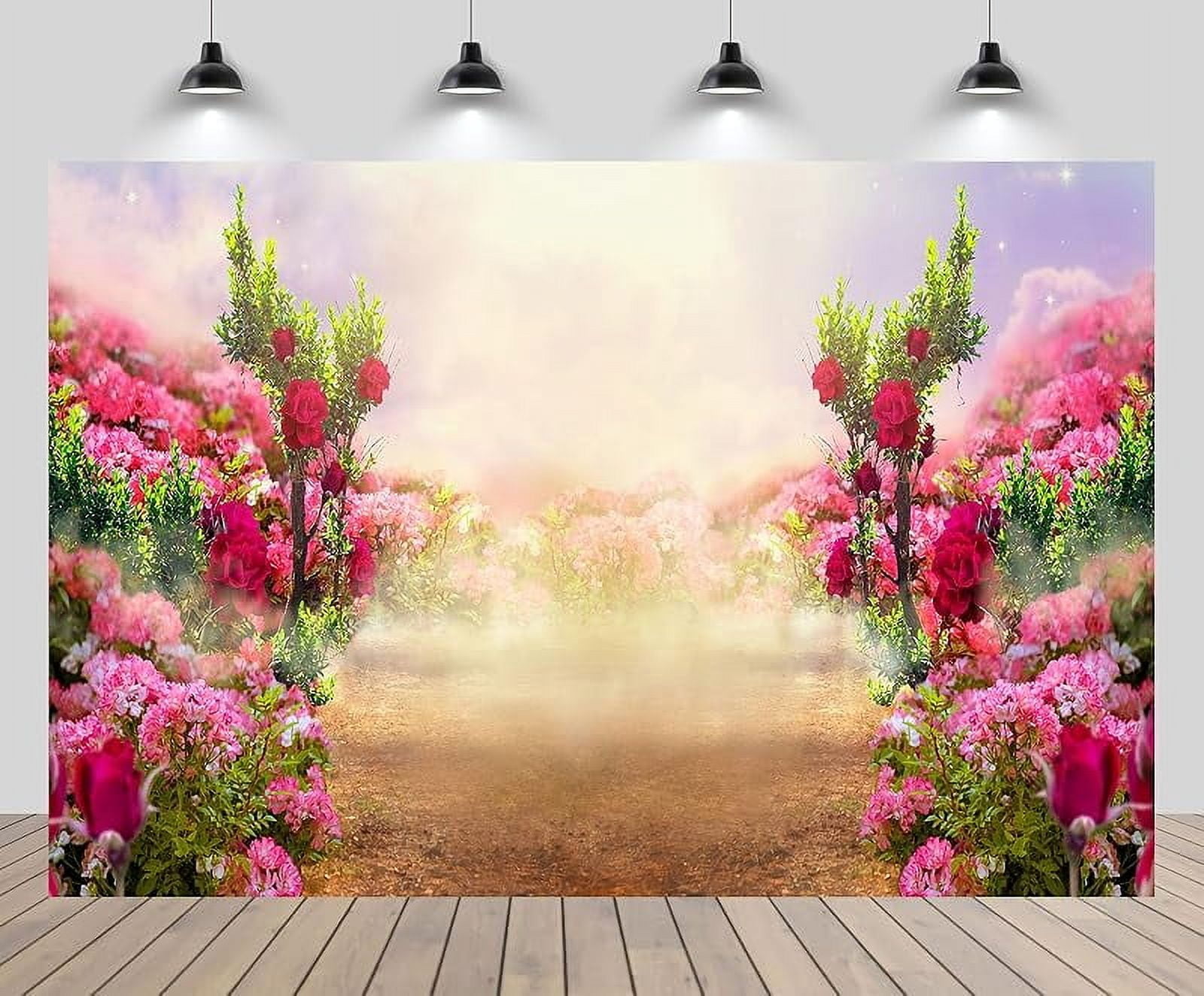Rose Field Backdrop Fairy Dramatic Sky Stars Misty Path Blooming Pink ...