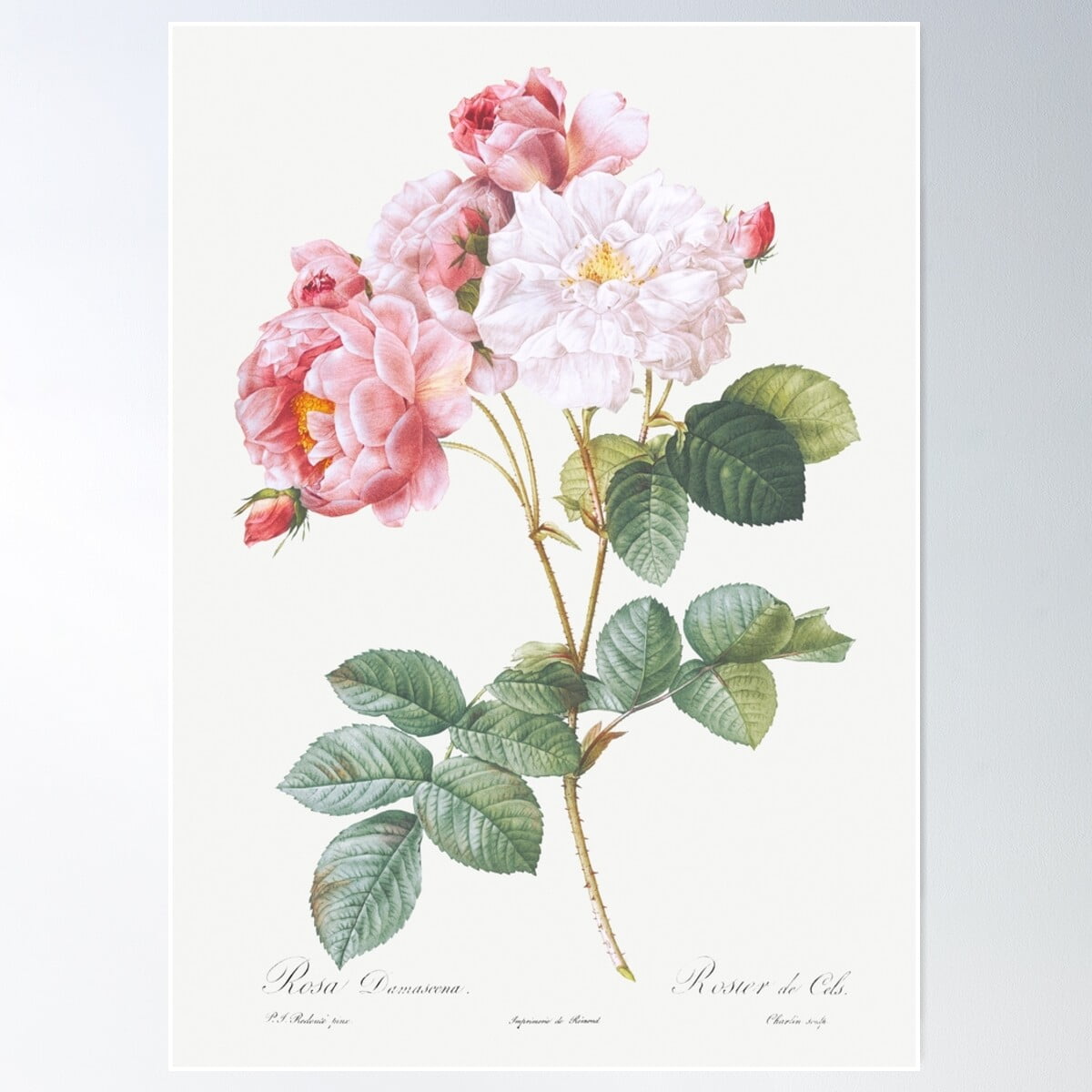 Rose Flower Poster Wall Art, Modern Wall Decor For Living Room Bedroom ...