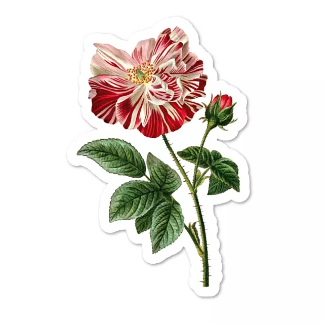 Rose, Flower Sticker, Water Resistant, Scrapbooking, Laptop, Water ...