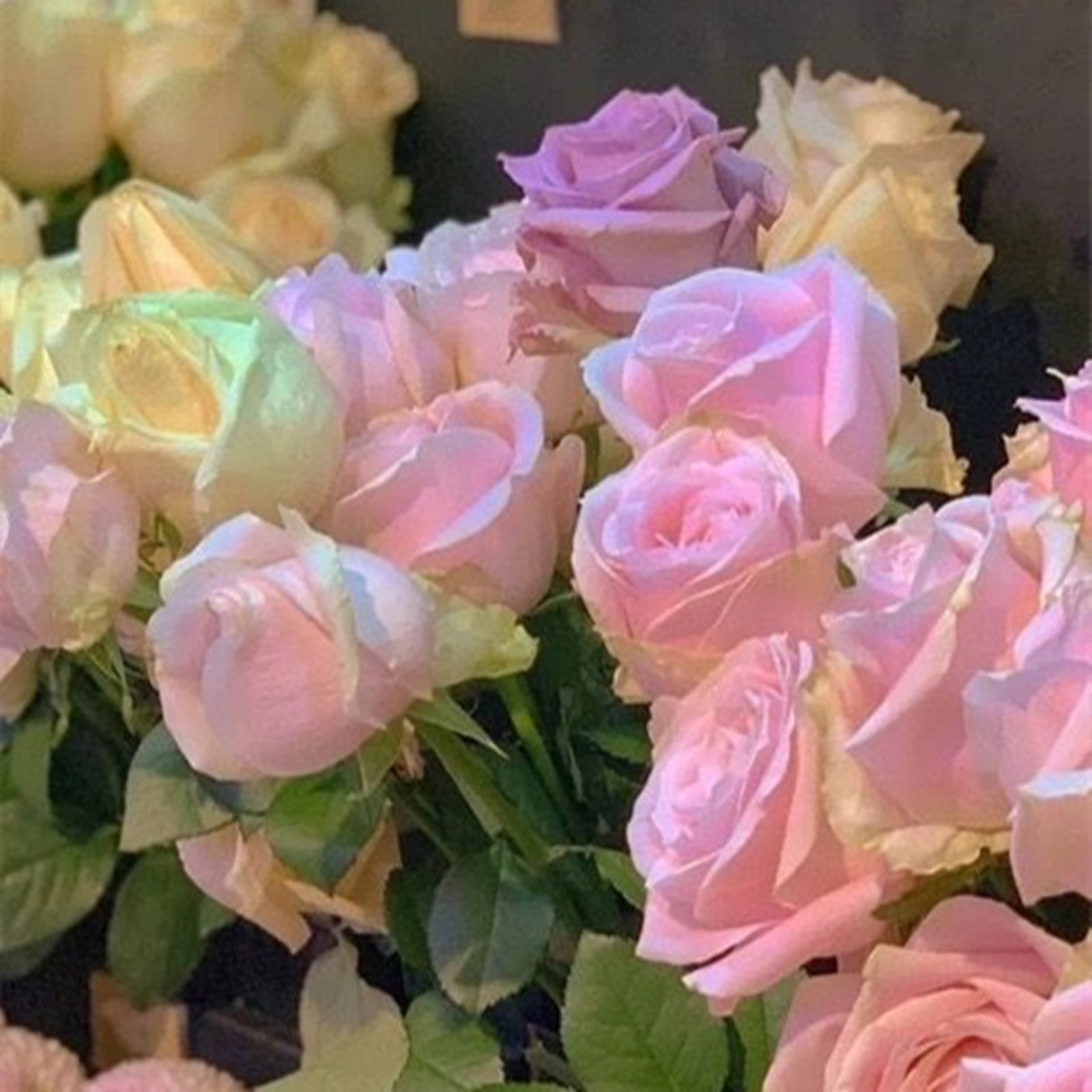 Rose For Sale, Perennial Flowers, Rare Plants Garden Bonsai, Mixed ...