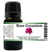 Plant Therapy Geranium Bourbon Essential Oil 100% Pure, Undiluted ...