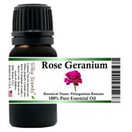 Plant Therapy Geranium Bourbon Essential Oil 100% Pure, Undiluted ...