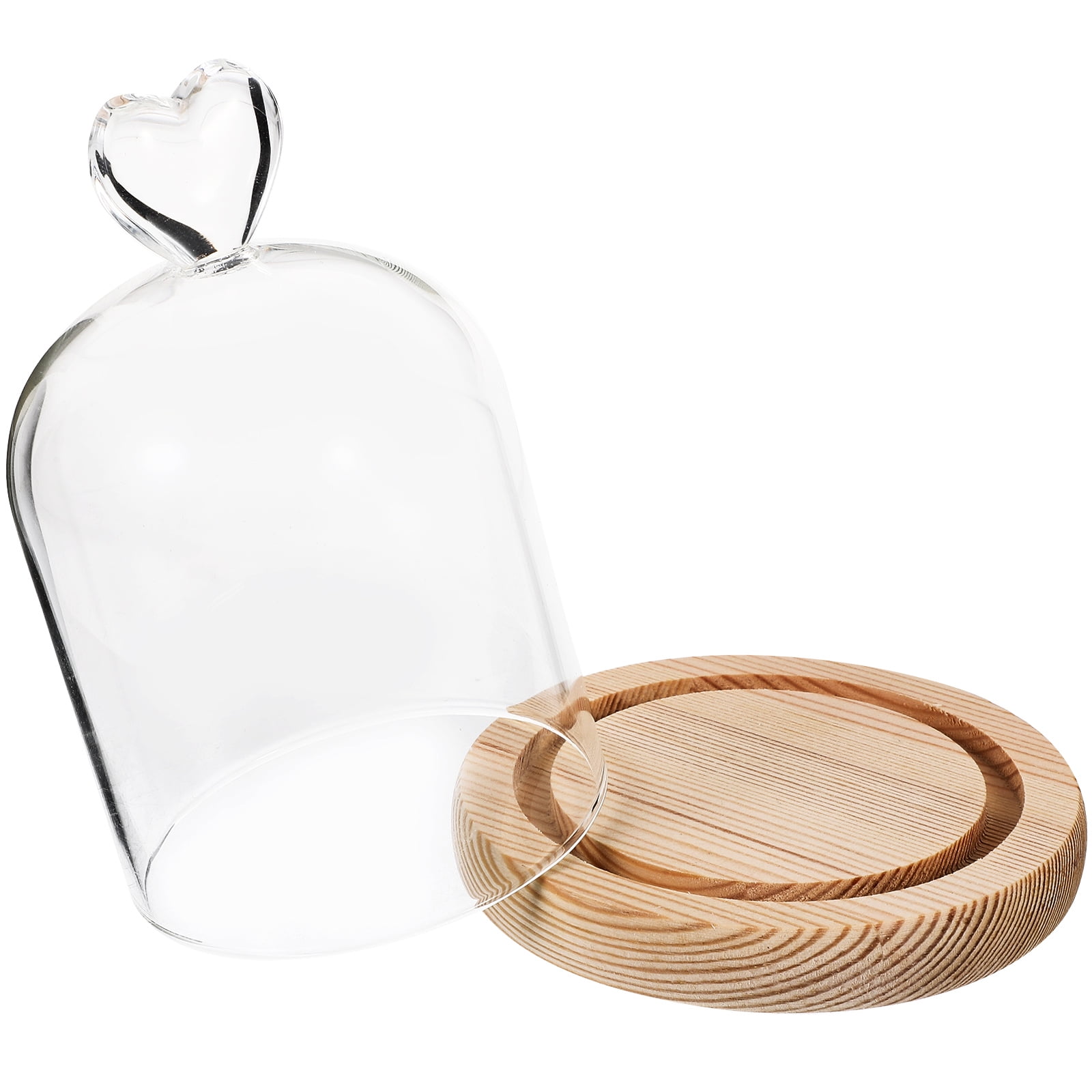 Rose Globe Monitor Cake Pan Table Top Display Case Flower Glass Cover ...