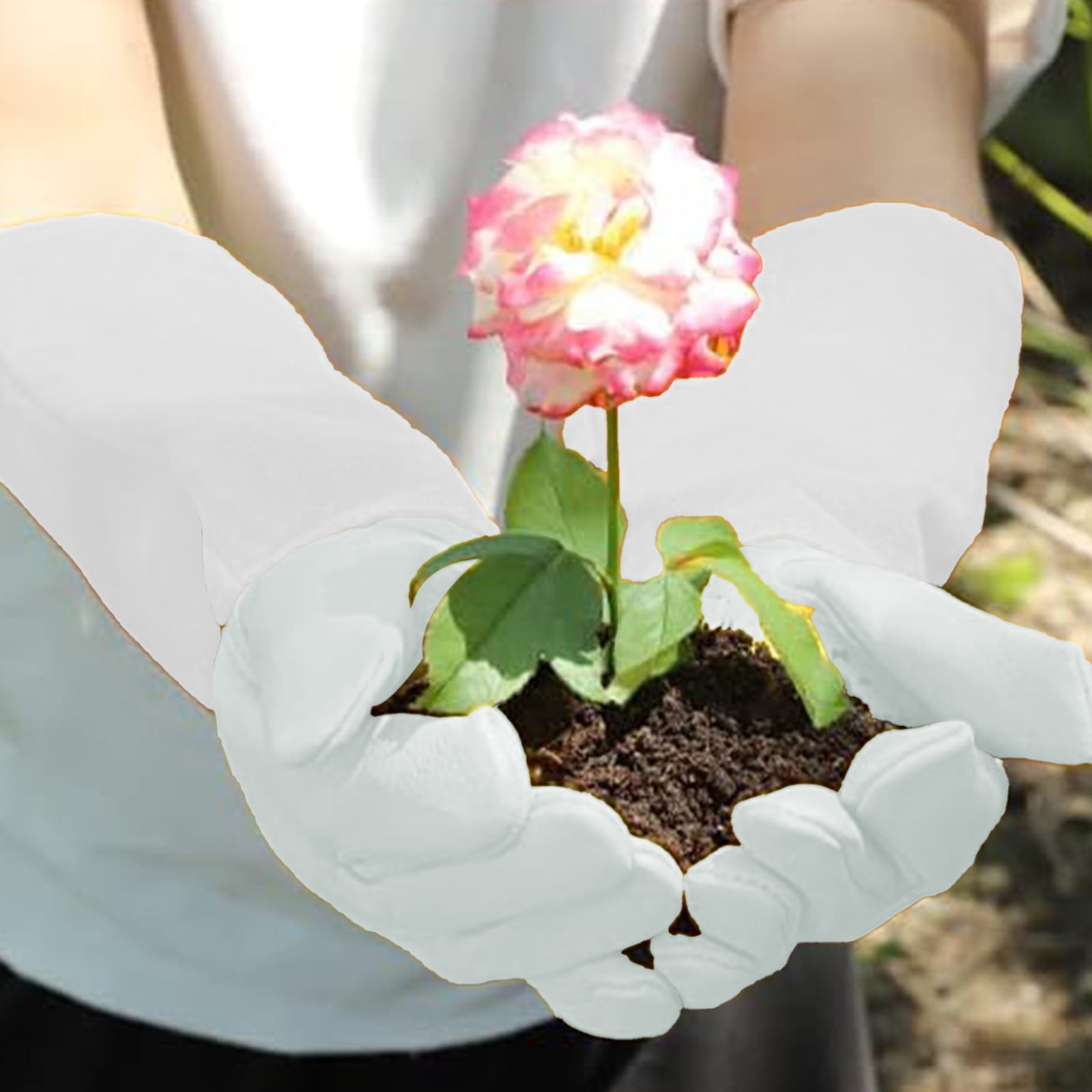 Rose Pruning Gloves for Men and Women, Rose Pruning Thorn & Cut Proof Long Forearm Protection ...