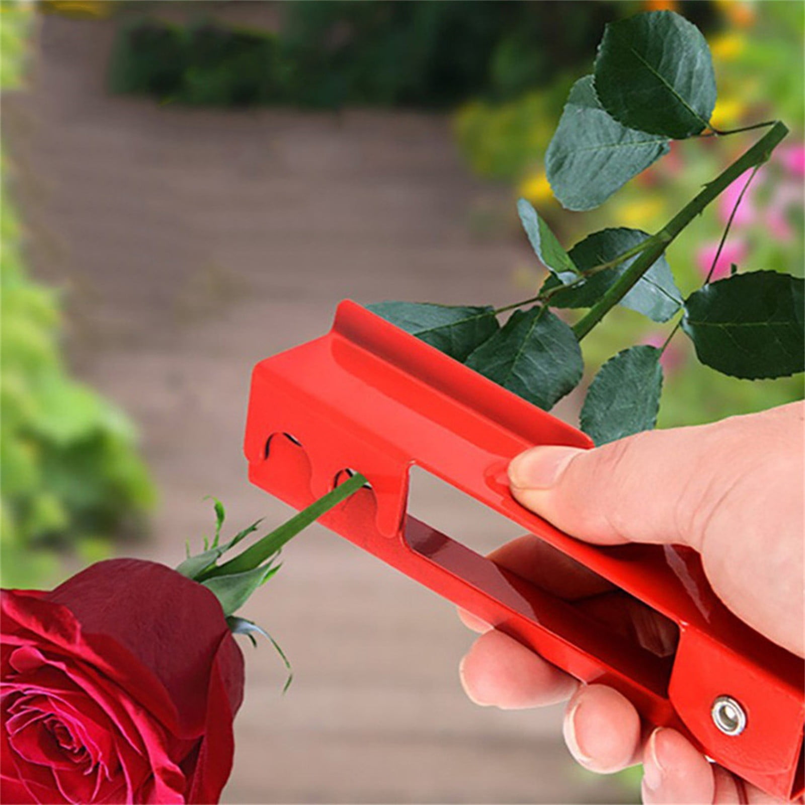 Rose Tongs Rose Thorn Tongs Removing Thorn Tongs Flower Scissors Thorn ...
