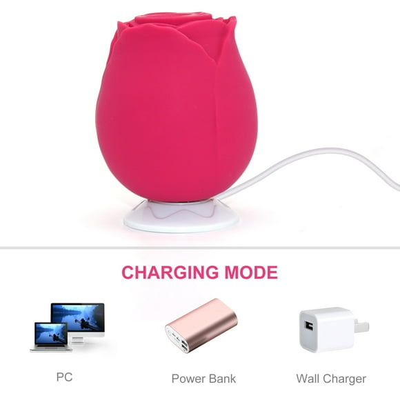 Vibrator Charger