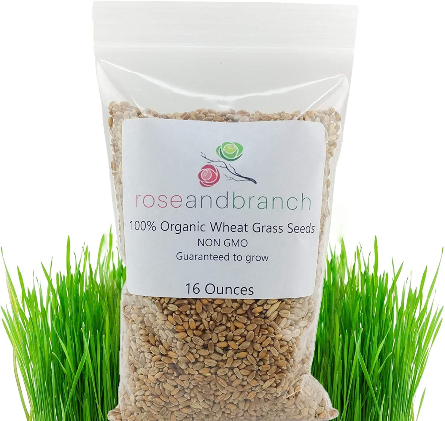 Organic Wheat Grass Seeds for Planting, Non-GMO Hard Red Wheat, 16oz ...