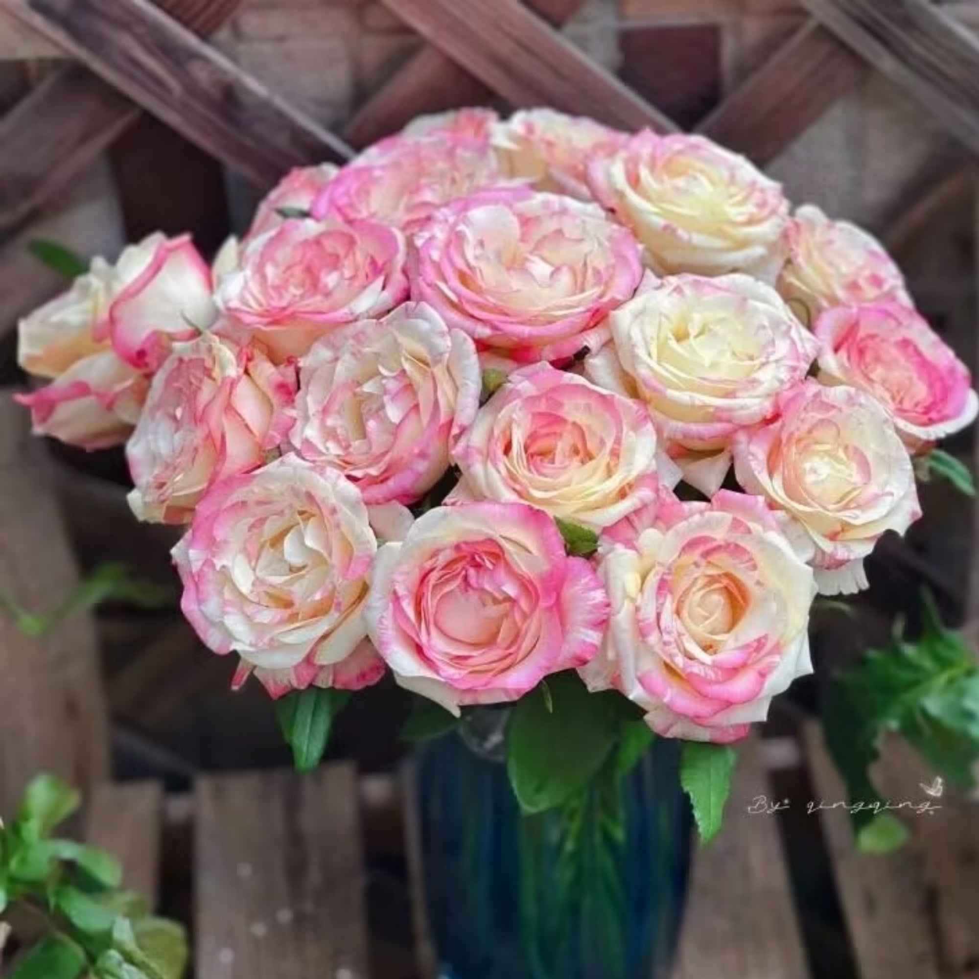 Rose flower matching models - years of appreciation, adding charm to ...