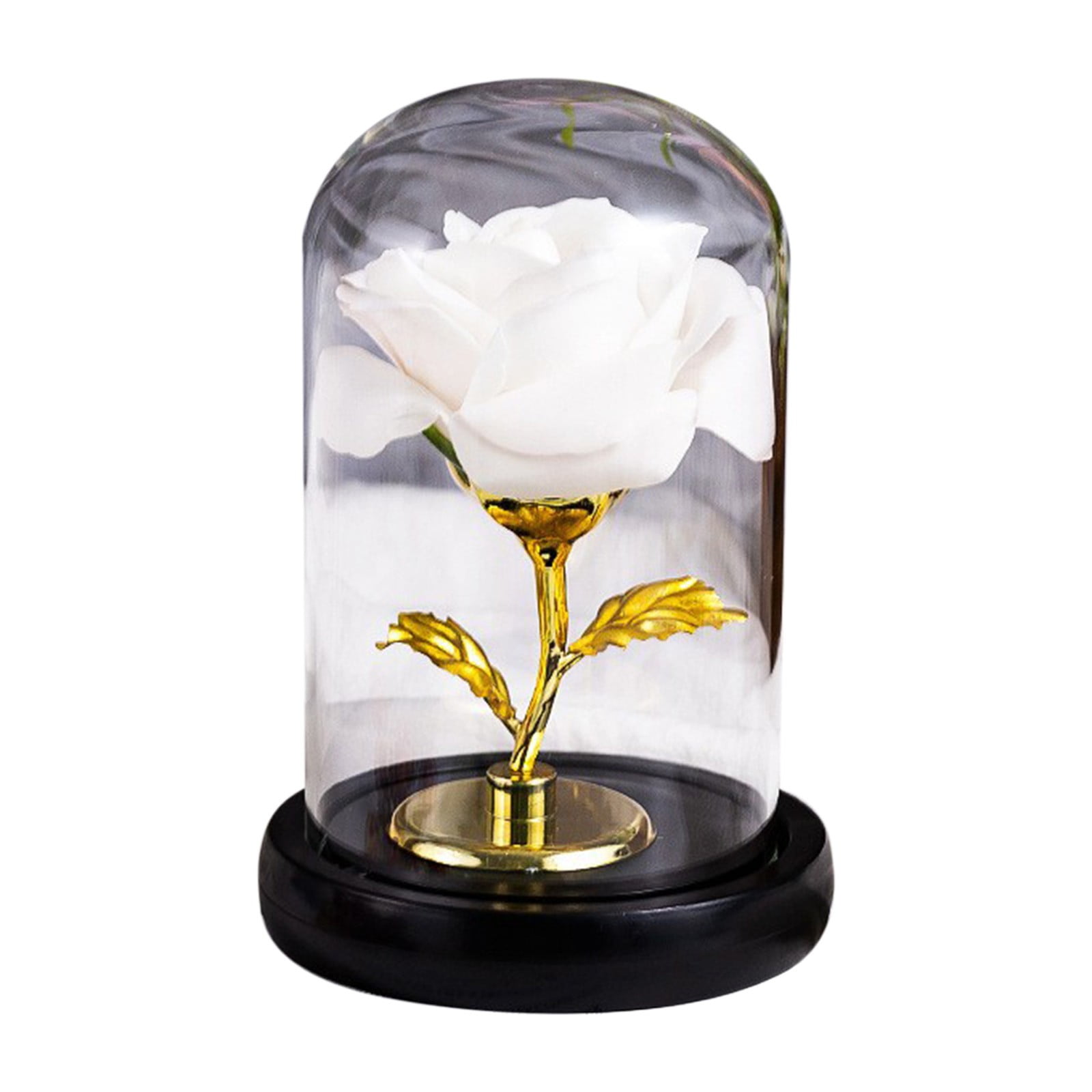 Rose in Glass Dome Eternal Rose LED Night Preserved Flowers Gift for ...