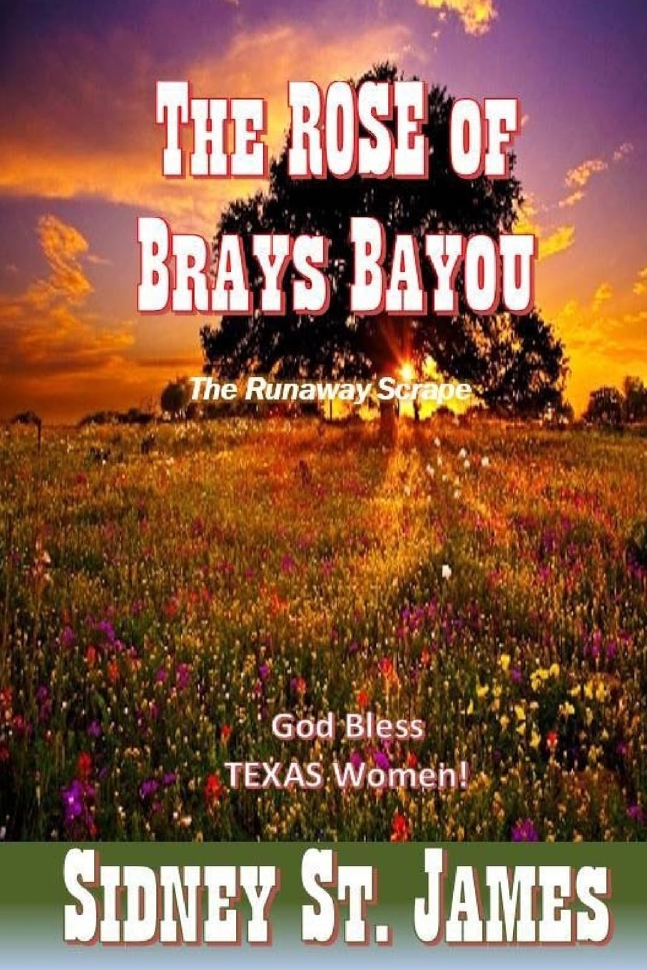 The ROSE of Brays Bayou: The Runaway Scrape - The Sabine Shoot - The ...