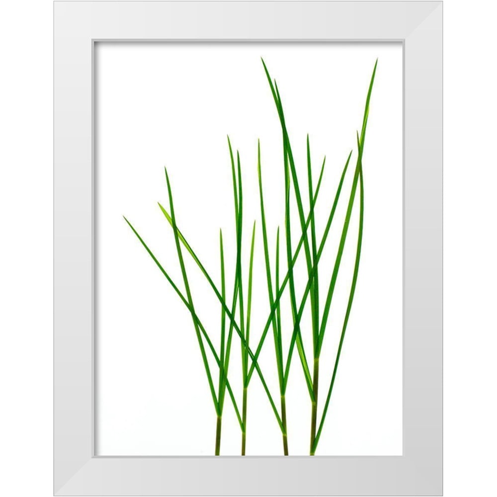 Rosenthal, Barry 11x14 White Modern Wood Framed Museum Art Print Titled ...