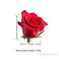 Roses Meet And Suck Jumping Eggs Adult Sex Products Tongue Lick Niannu