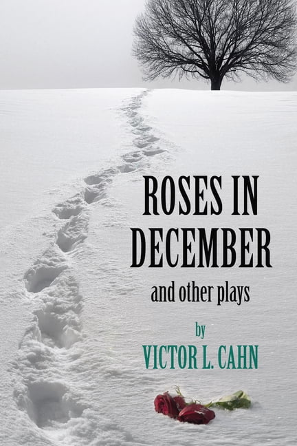 Roses in December (Hardcover) - Walmart.com