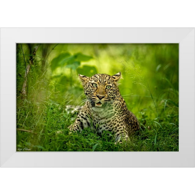 Roshkumar 18x13 White Modern Wood Framed Museum Art Print Titled - Panic Moment - Walmart.com