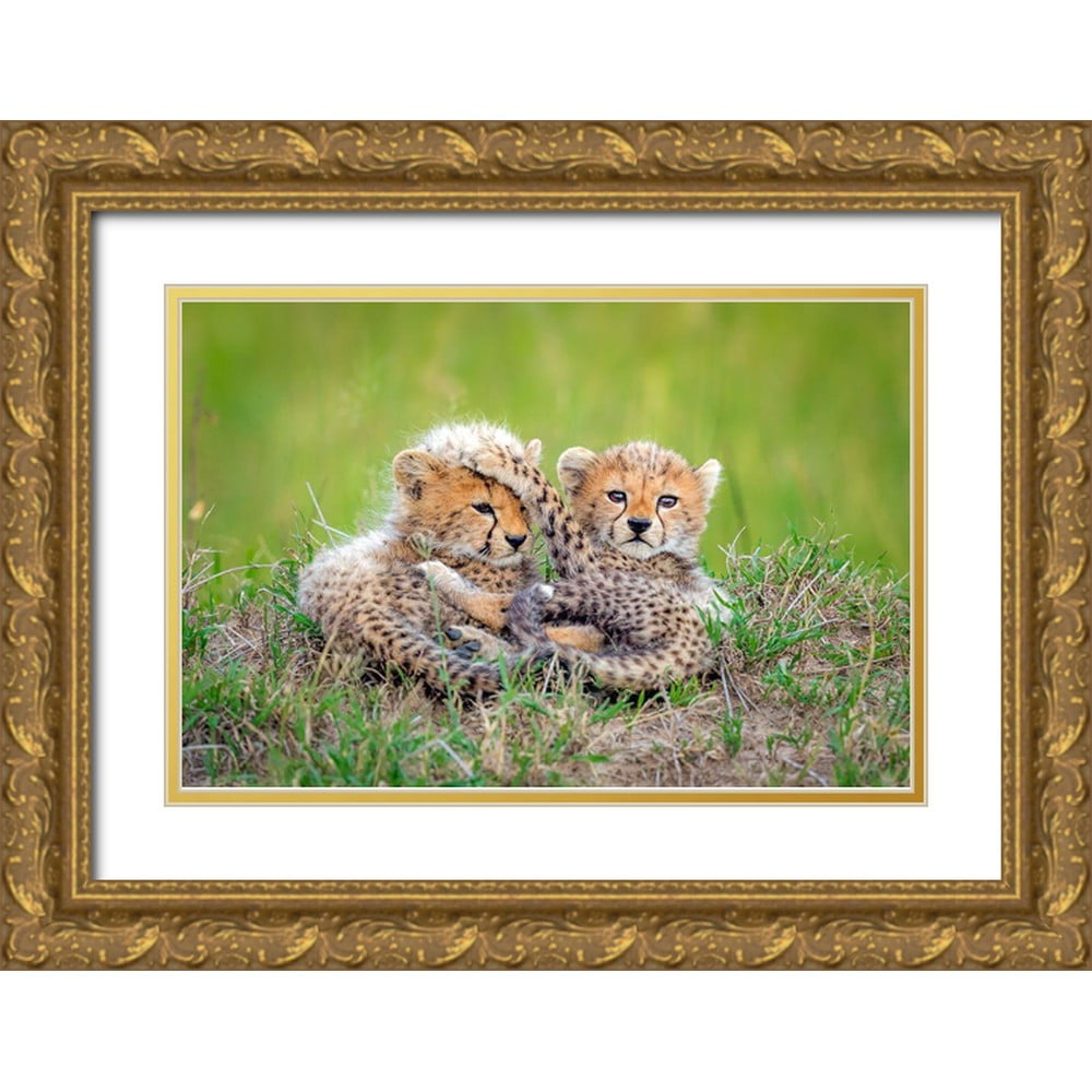 Roshkumar 24x17 Gold Ornate Wood Framed with Double Matting Museum Art Print Titled - Promising ...