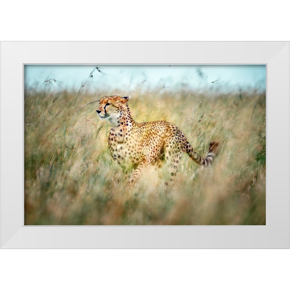 Roshkumar 24x17 White Modern Wood Framed Museum Art Print Titled - Secret Way - Walmart.com