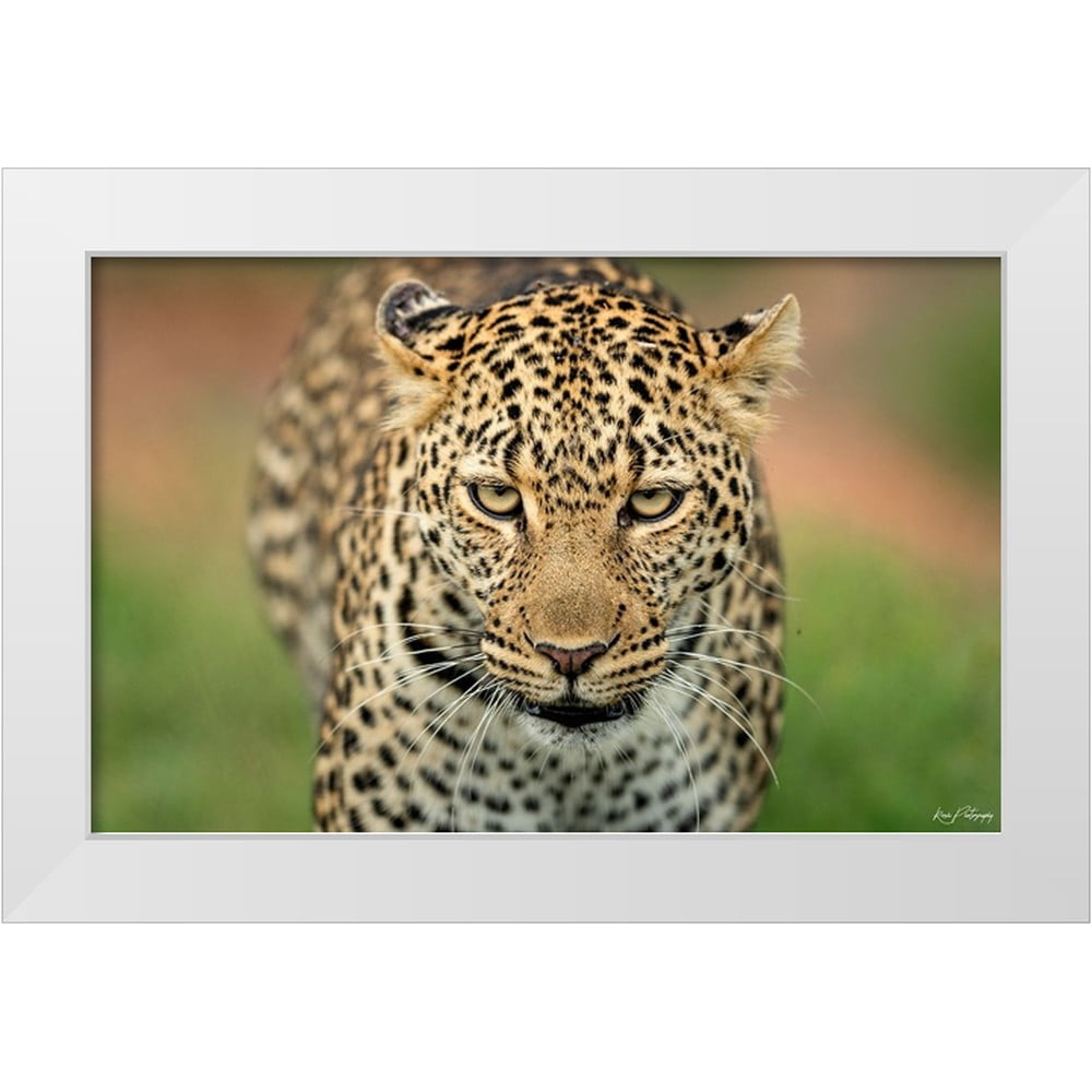 Roshkumar 32x22 White Modern Wood Framed Museum Art Print Titled - Fearless .... - Walmart.com