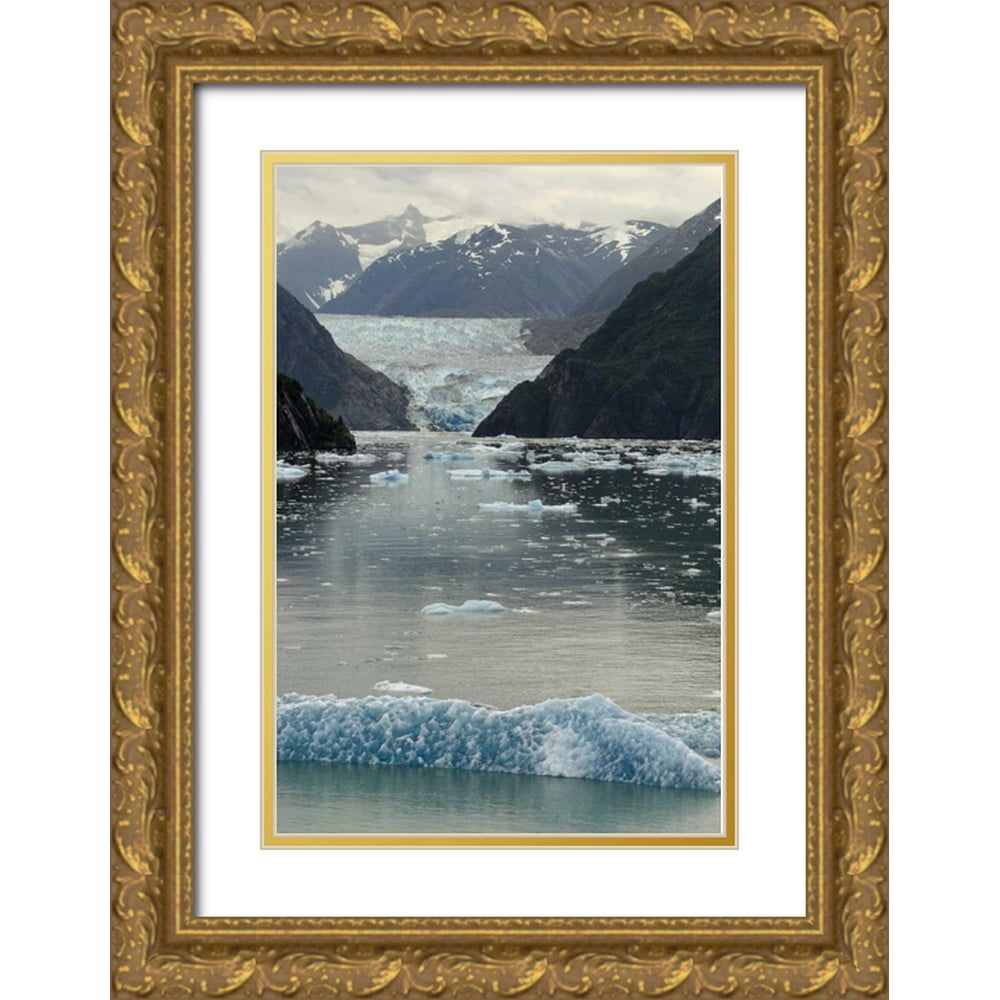 Ross, Nancy , Steve 11x14 Gold Ornate Wood Framed with Double Matting ...