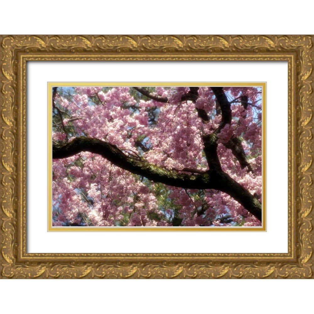 Ross, Nancy , Steve 14x11 Gold Ornate Wood Framed with Double Matting ...