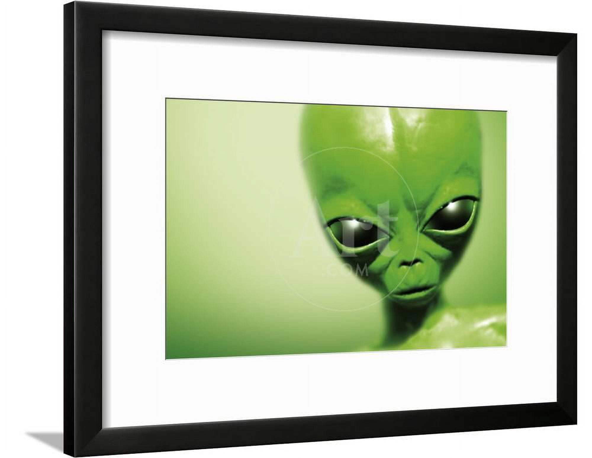 Roswell Alien, Animals Scenic World Culture Framed Art Print Wall Art ...