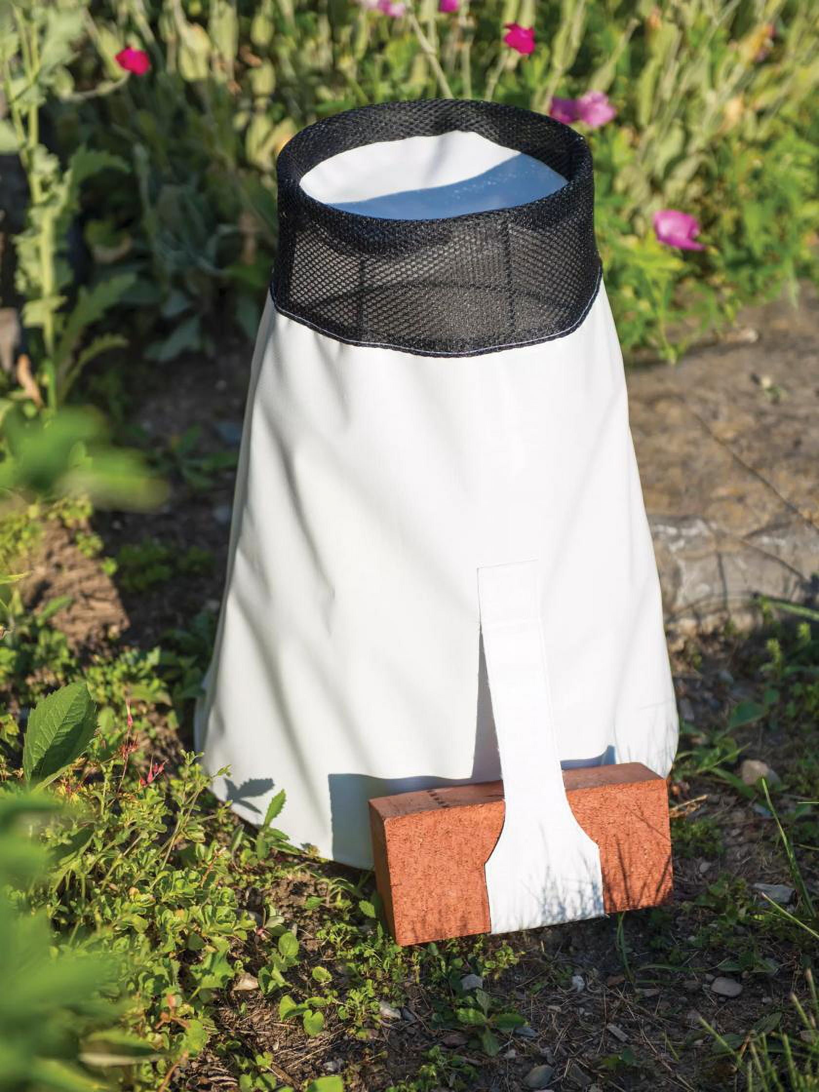 Rosy Cozy Rose Cone Large - Walmart.com