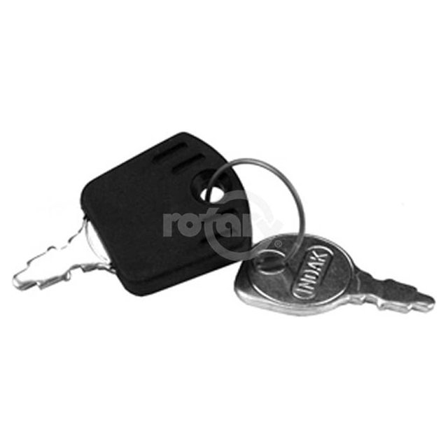 Rotary 10794 Ignition Key Molded Key & Standard Key W/Ring - Walmart.com