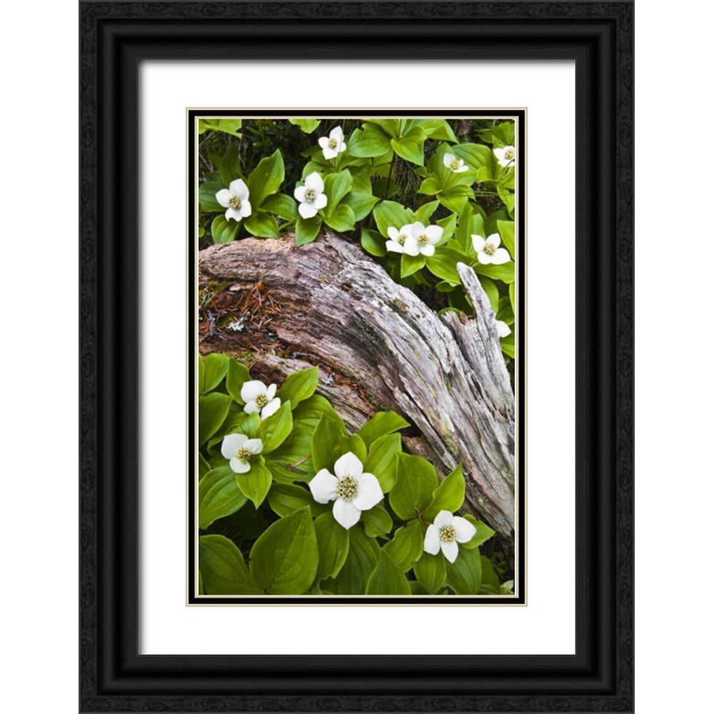 Rotenberg, Nancy 11x14 Black Ornate Wood Framed with Double Matting ...