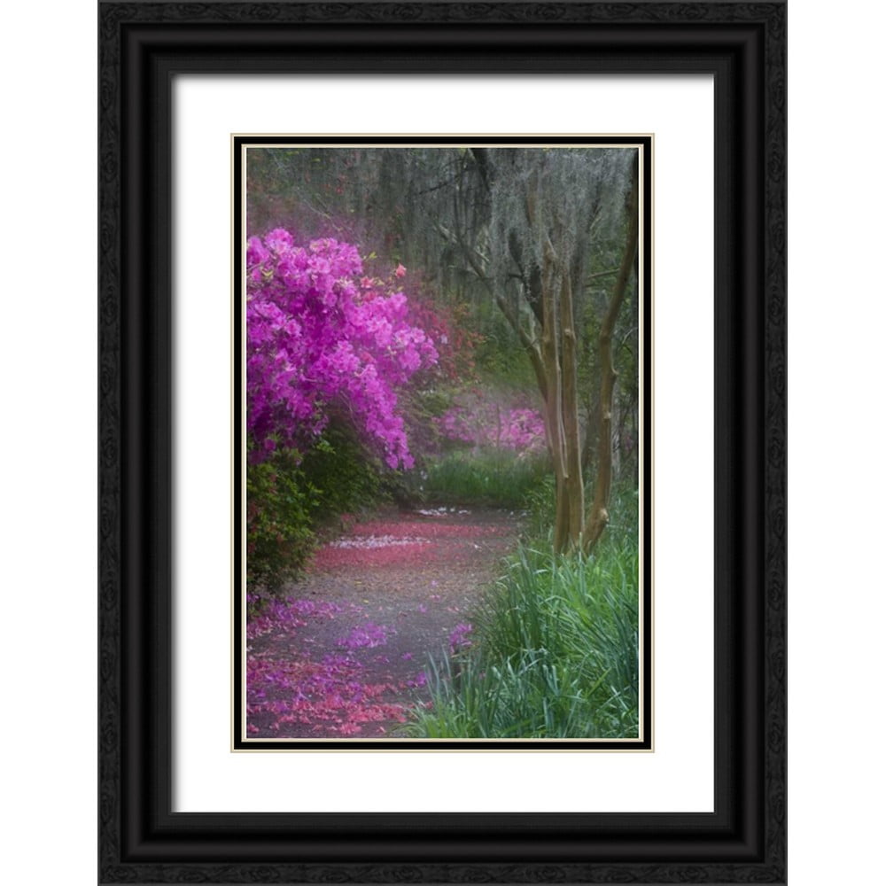 Rotenberg, Nancy 11x14 Black Ornate Wood Framed with Double Matting Museum Art Print Titled ...