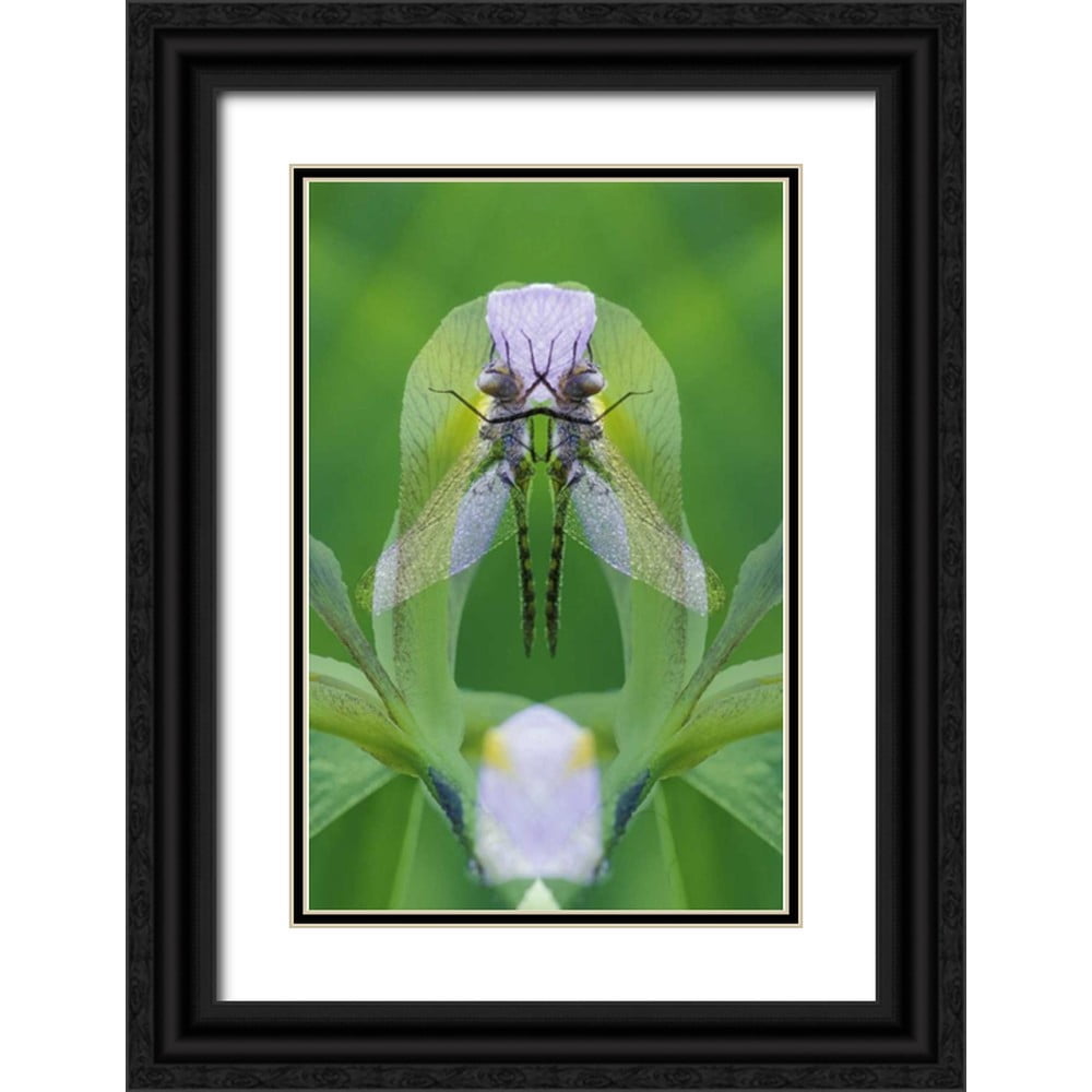 Rotenberg, Nancy 11x14 Black Ornate Wood Framed with Double Matting ...