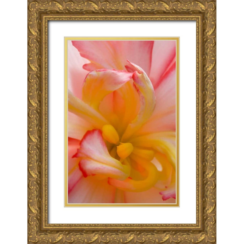 Rotenberg, Nancy 11x14 Gold Ornate Wood Framed with Double Matting ...