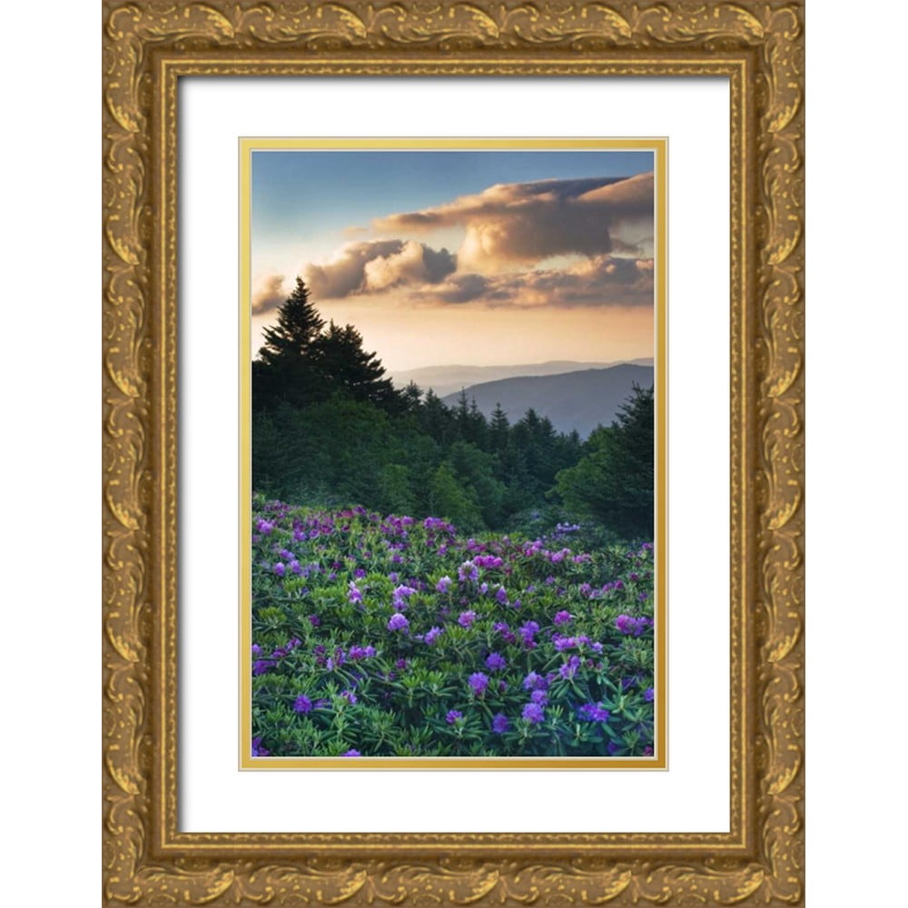 Rotenberg, Nancy 11x14 Gold Ornate Wood Framed with Double Matting ...