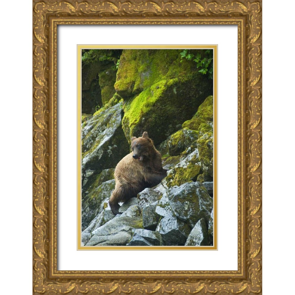 Rotenberg, Nancy 11x14 Gold Ornate Wood Framed with Double Matting ...