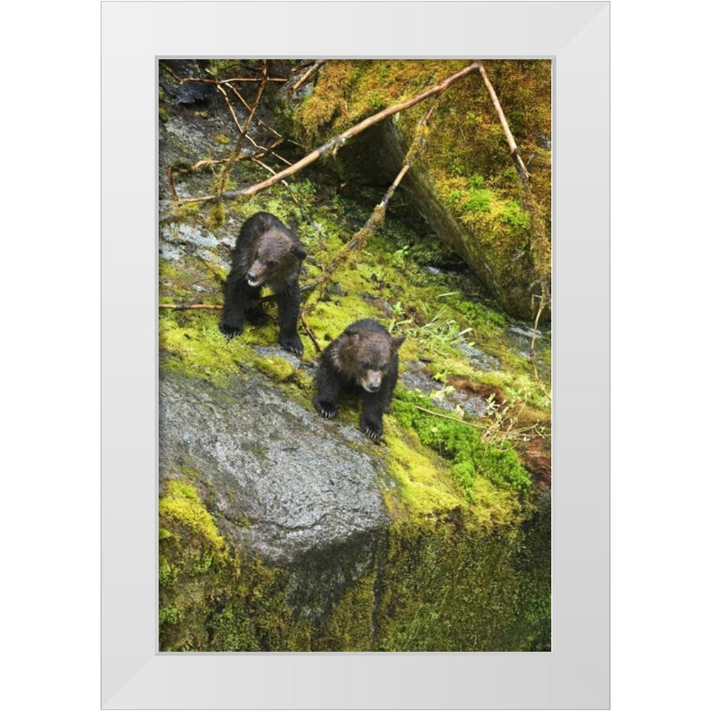 Rotenberg, Nancy 11x14 White Modern Wood Framed Museum Art Print Titled ...