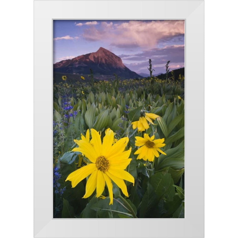 Rotenberg, Nancy 11x14 White Modern Wood Framed Museum Art Print Titled ...