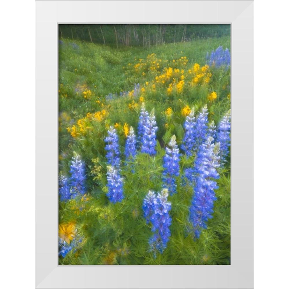 Rotenberg, Nancy 11x14 White Modern Wood Framed Museum Art Print Titled ...