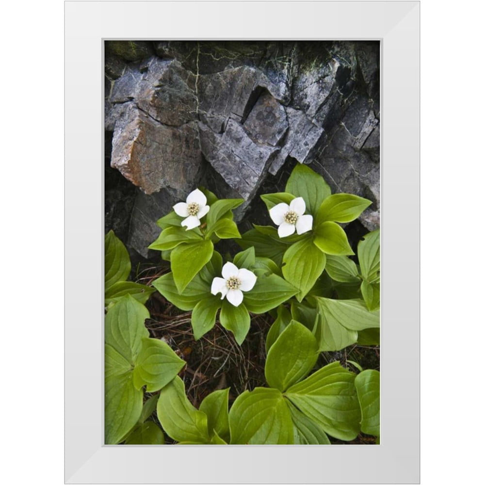 Rotenberg, Nancy 11x14 White Modern Wood Framed Museum Art Print Titled ...