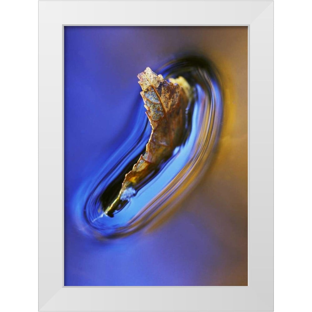 Rotenberg, Nancy 11x14 White Modern Wood Framed Museum Art Print Titled ...