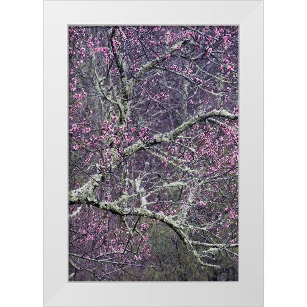 Rotenberg, Nancy 11x14 White Modern Wood Framed Museum Art Print Titled ...