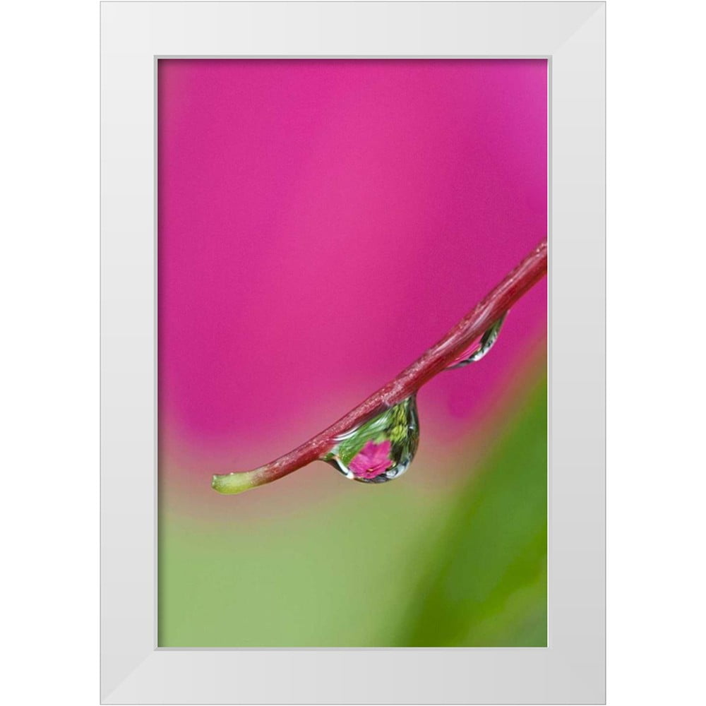 Rotenberg, Nancy 11x14 White Modern Wood Framed Museum Art Print Titled ...